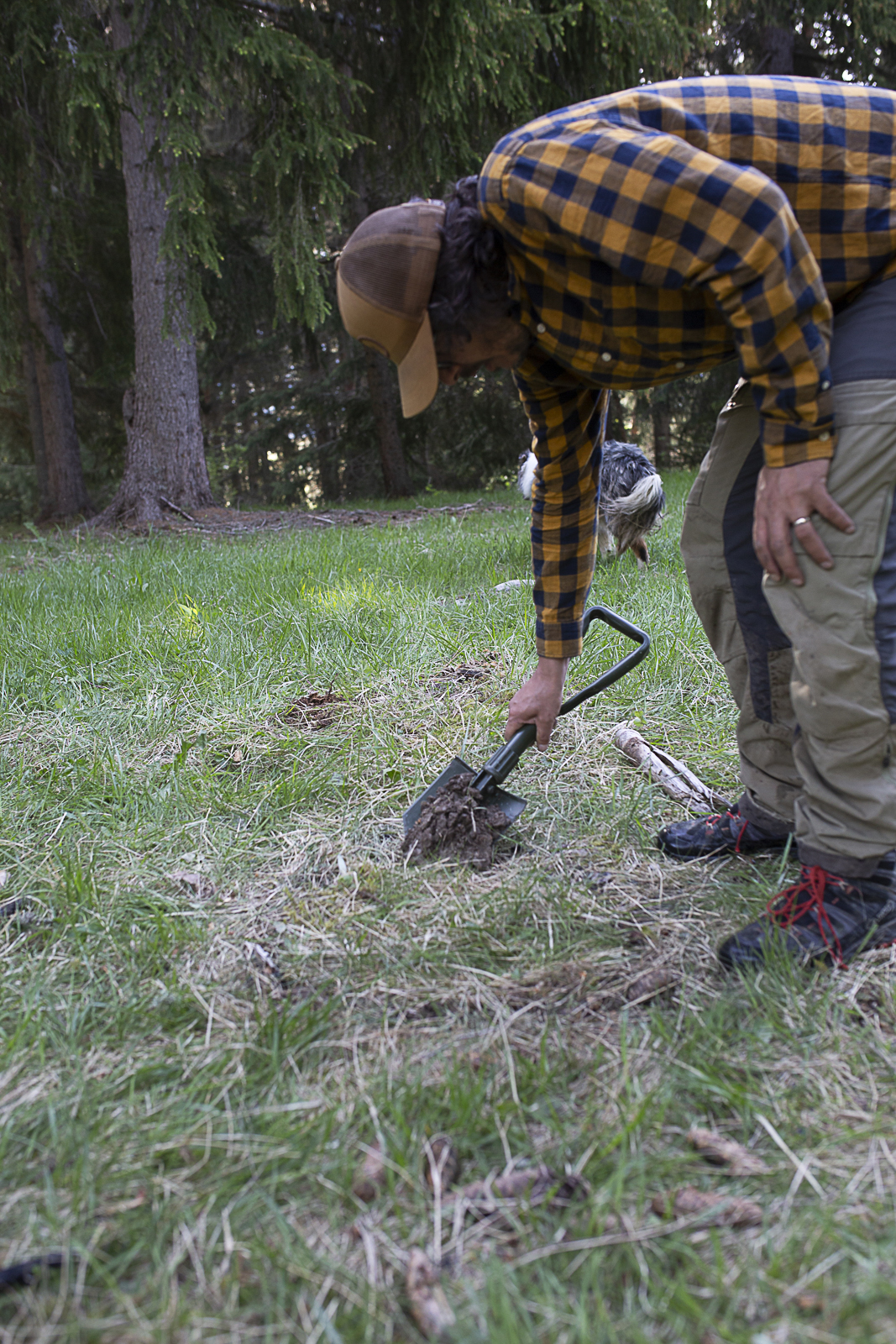 Comment bien faire un feu de camp - Petit Bivouac